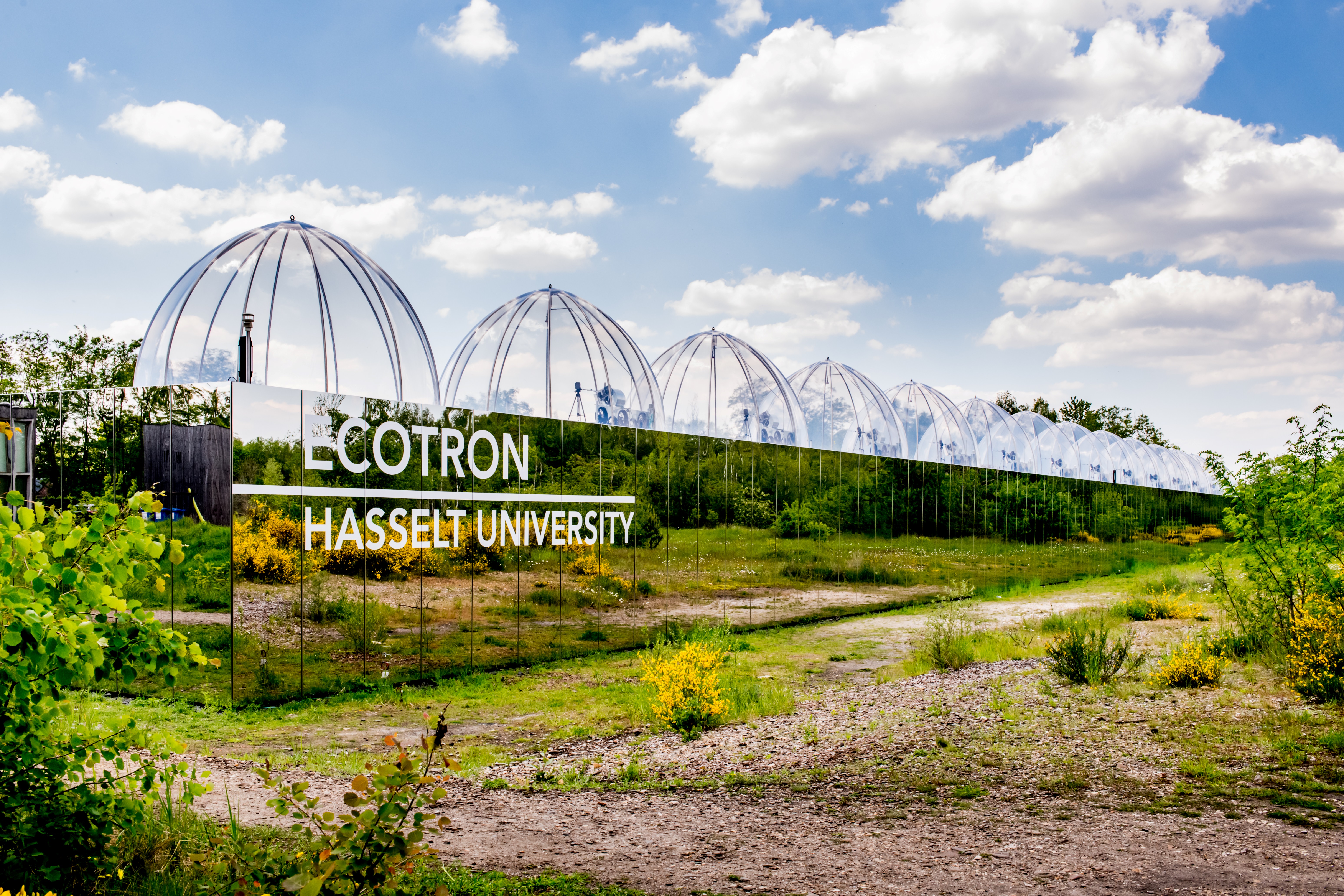 Universiteit Hasselt - UHasselt