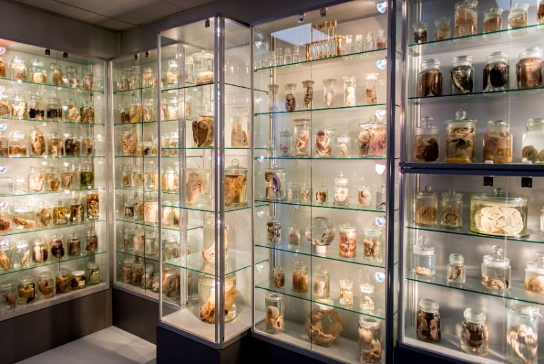 Academic heritage- UHasselt