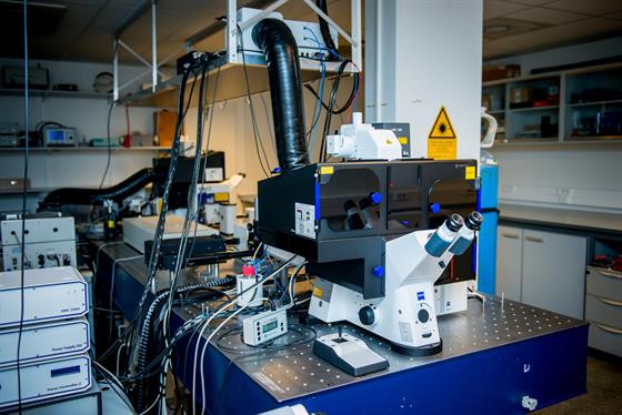 Dynamic Bioimaging Lab- UHasselt