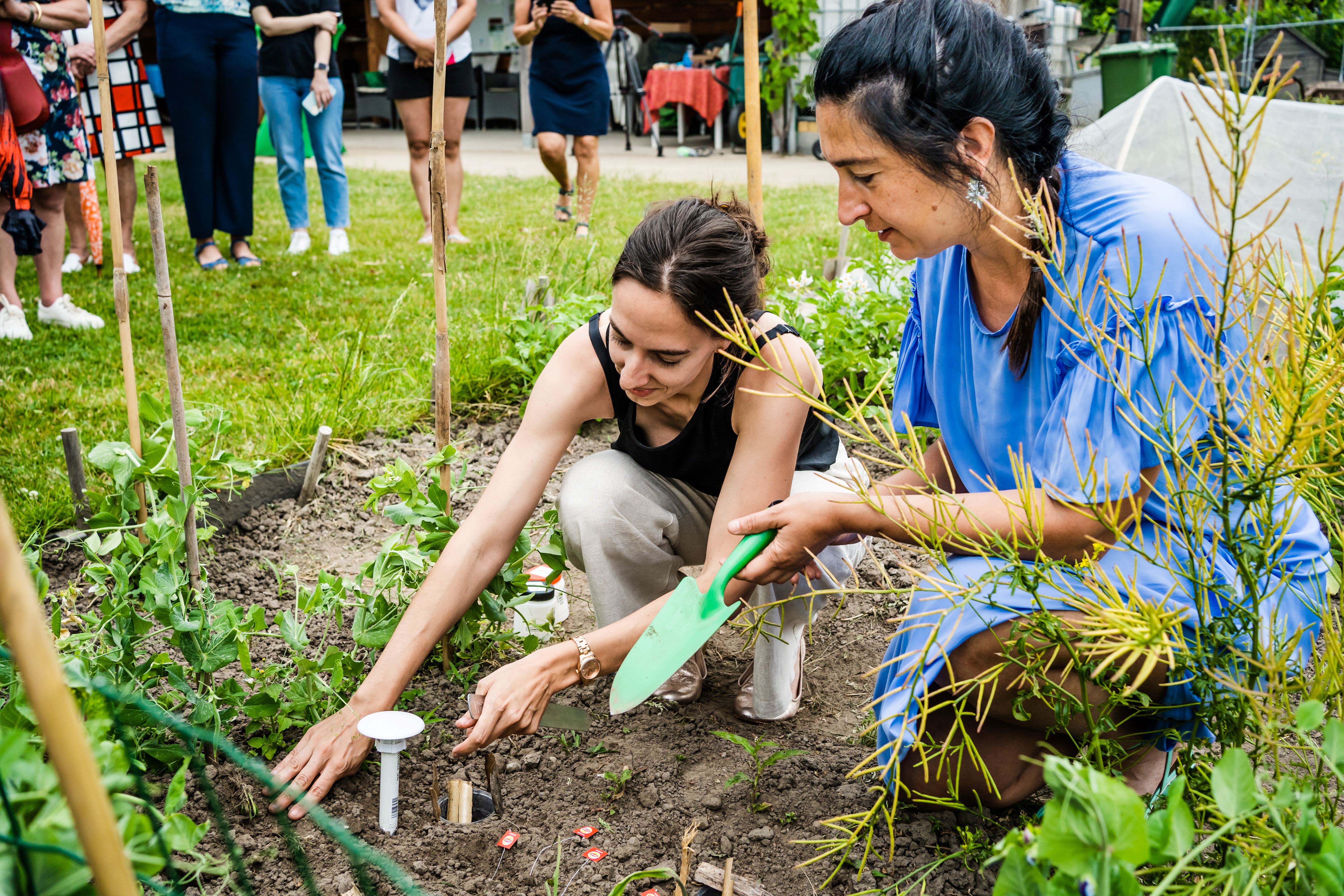 1.000 Limburgers starten vandaag met groot Vlaams onderzoek naar het bodemleven in hun tuin ...