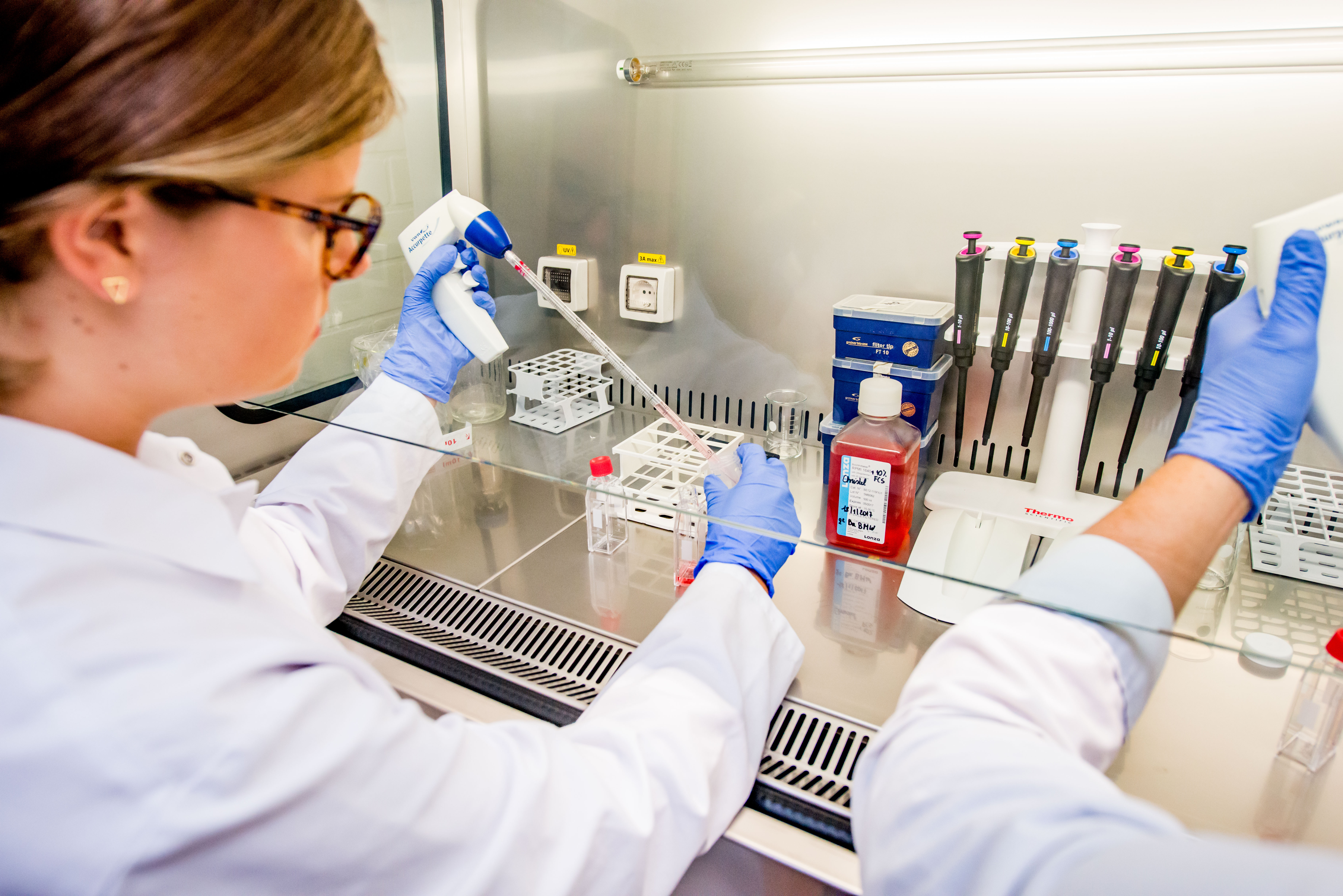 Ethical Committee for Animal Experimentation (ECAE)- UHasselt