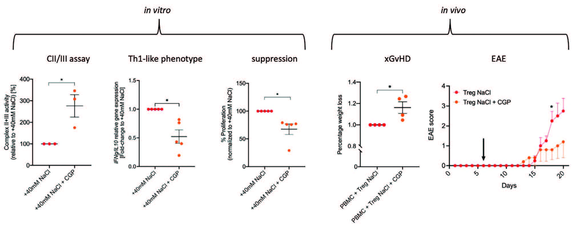 NCLX as regulator for Treg functionality- UHasselt